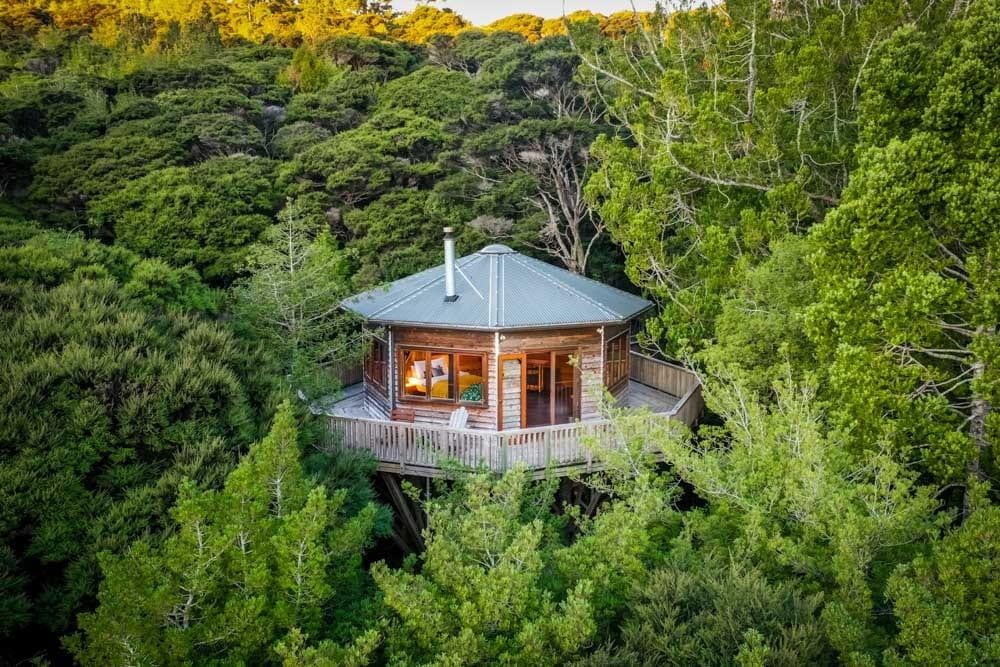 Living Big in a Tiny House - The Ultimate Forest Escape - A Spectacular ...